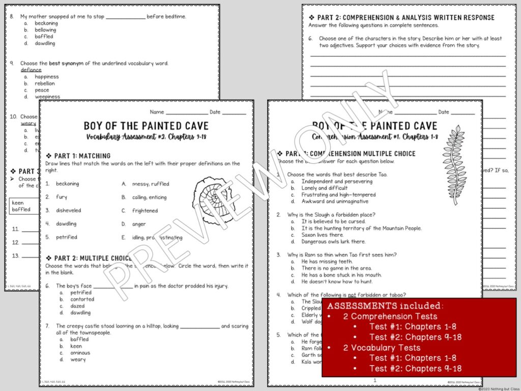 Boy of the Painted Cave Novel Study Unit | Comprehension and Vocabulary ...