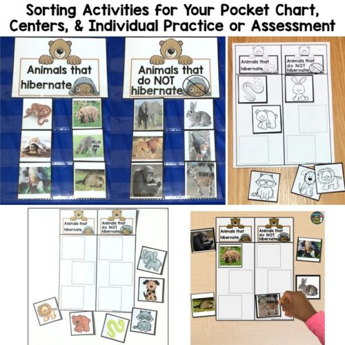 Hibernation Activities Writing Prompts Hibernating Bear Craft Bulletin ...