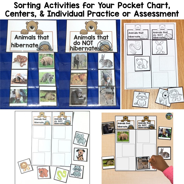 Hibernation Activities Writing Prompts Hibernating Bear Craft Bulletin ...