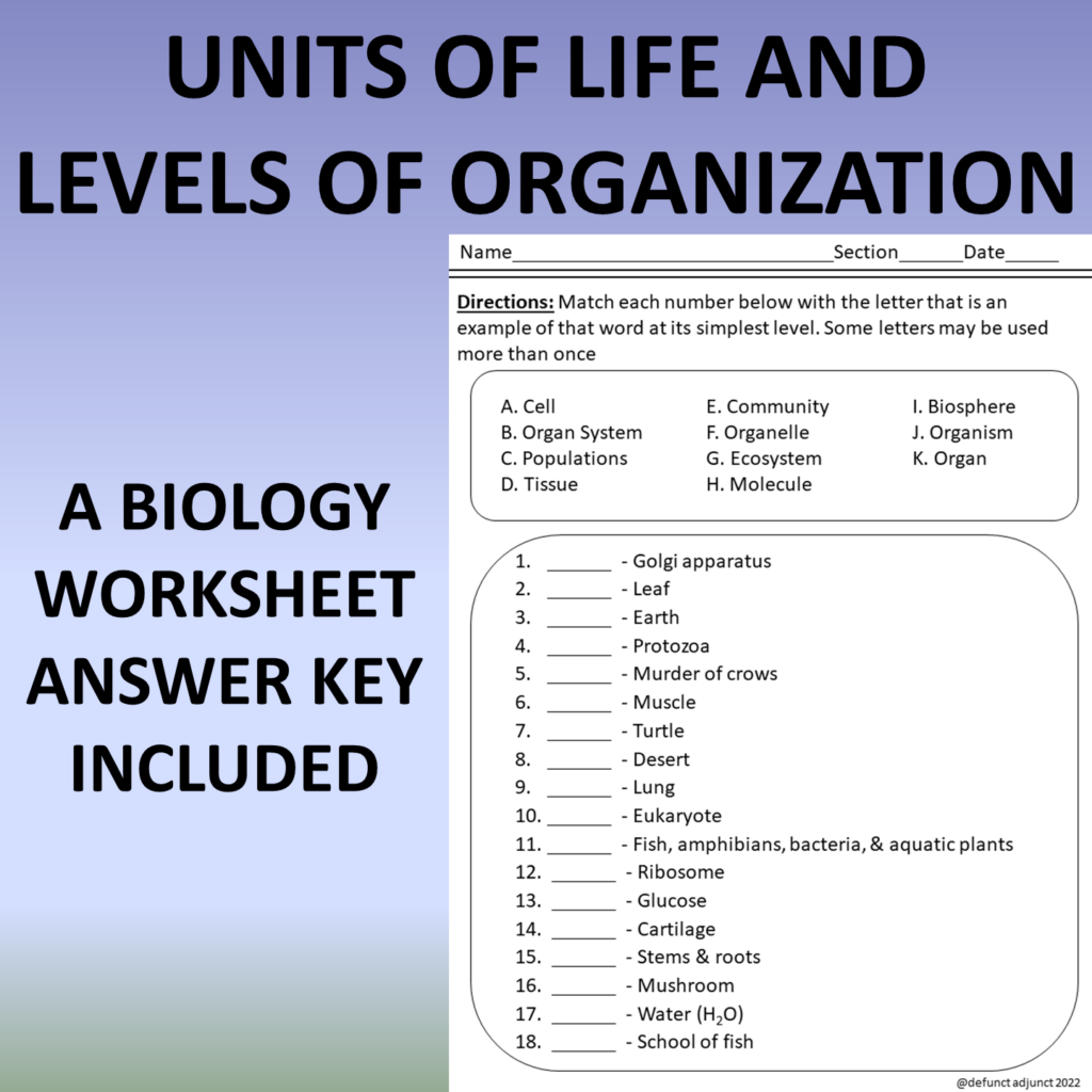 Levels of Organization of Life: A Biology Worksheet | Made By Teachers