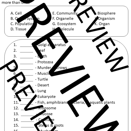Levels of Organization of Life: A Biology Worksheet | Made By Teachers