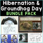 Hibernation Activities plus Groundhog Day & Shadows Activities Bundle ...