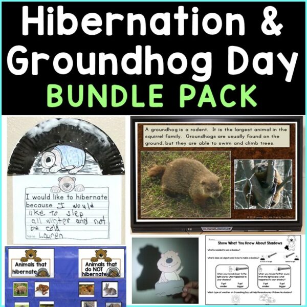 Hibernation Activities plus Groundhog Day & Shadows Activities Bundle ...