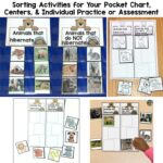 Hibernation Activities plus Groundhog Day & Shadows Activities Bundle ...