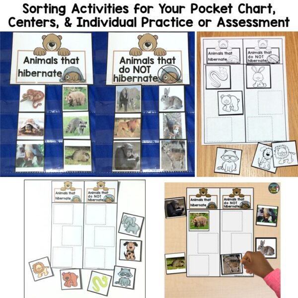 Hibernation Activities plus Groundhog Day & Shadows Activities Bundle ...