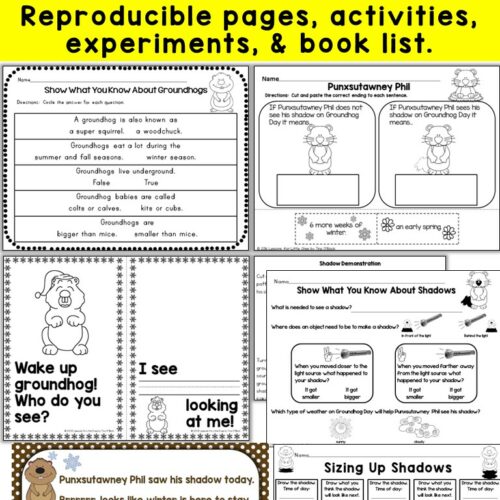 Hibernation Activities plus Groundhog Day & Shadows Activities Bundle ...