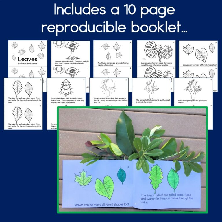Leaf Science Reading Sorting Measurement Graphing | Leaves in Fall STEM ...