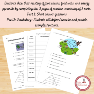 Distance Learning: Food Chain, Food Web, Energy Pyramid Practice ...