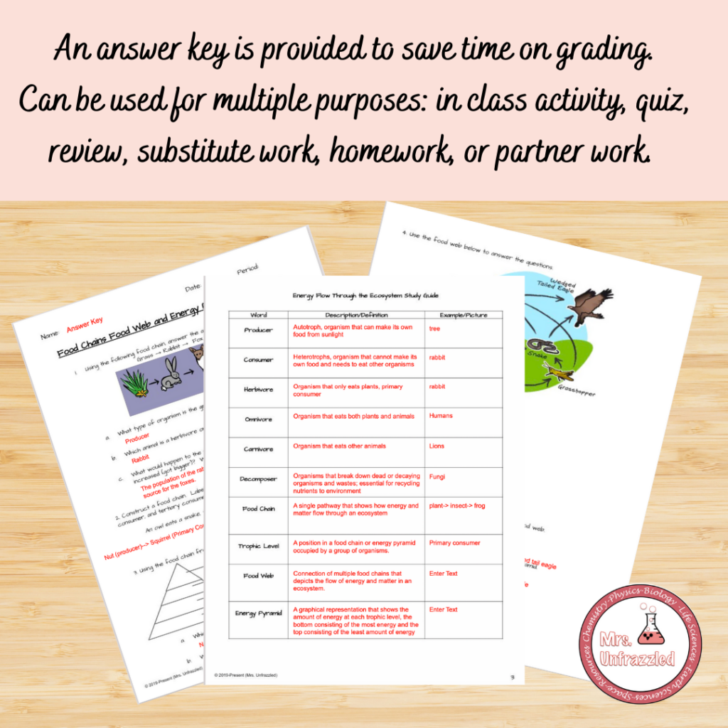 Distance Learning: Food Chain, Food Web, Energy Pyramid Practice ...