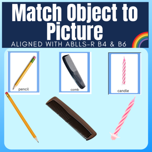 Match Object to Picture Cards for ABA Autism ABLLS-R B4 & B6 with ...