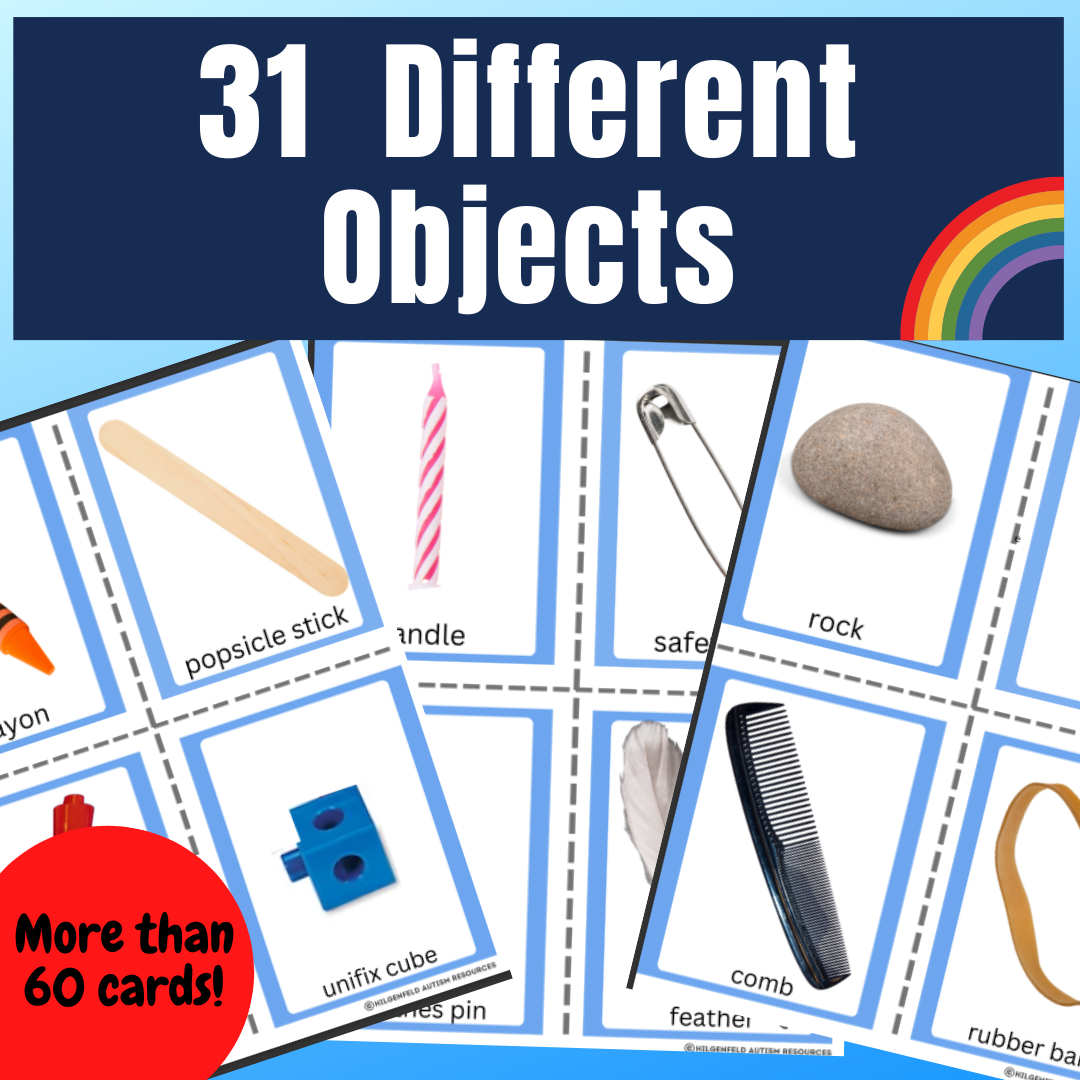 Match Object to Picture Cards for ABA Autism ABLLS-R B4 & B6 with ...