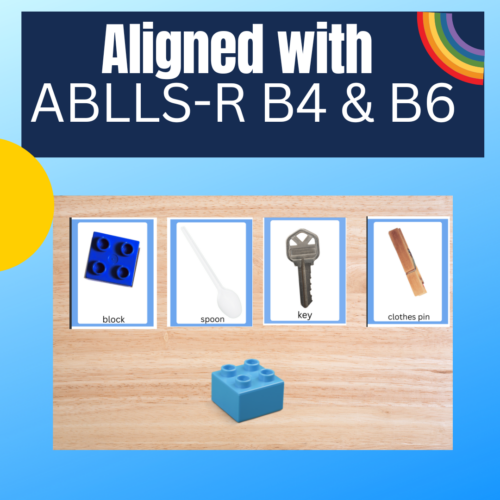 Match Object to Picture Cards for ABA Autism ABLLS-R B4 & B6 with ...
