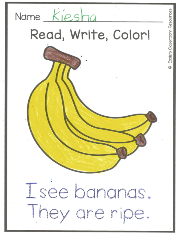 Early Literacy Activity Book | Made By Teachers