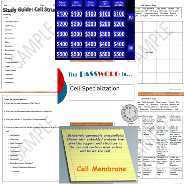 Cell Structure and Function Review Packet | Made By Teachers