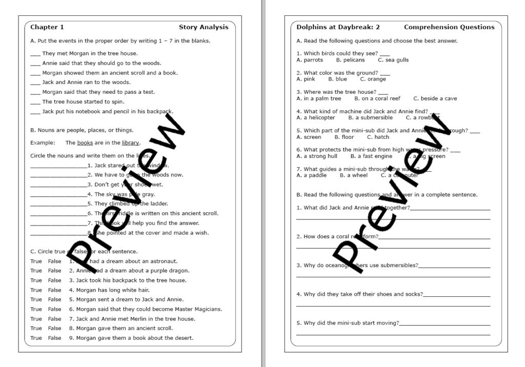 Magic Tree House "Dolphins at Daybreak" worksheets | Made By Teachers