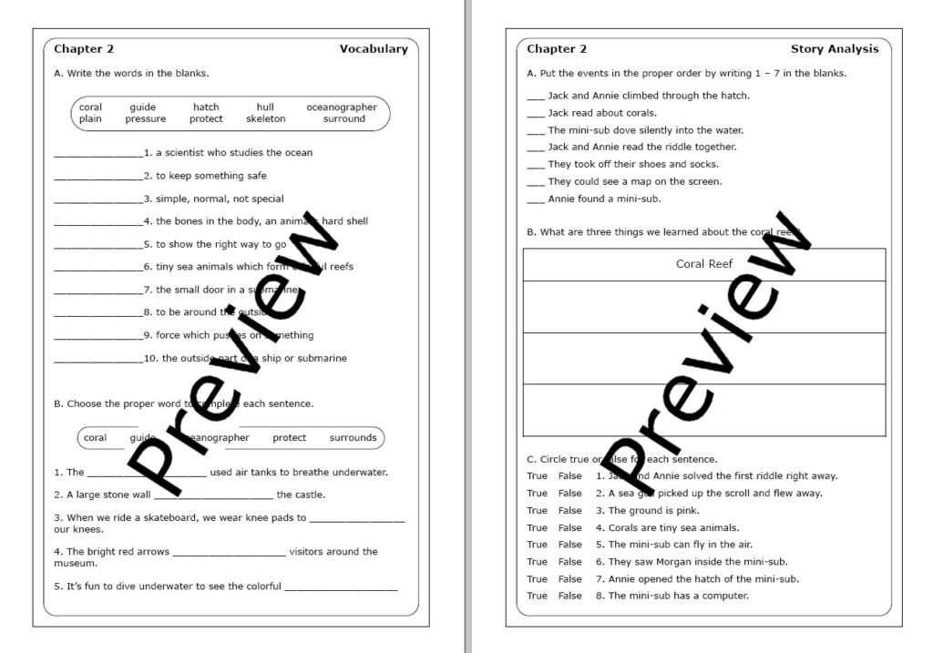 Magic Tree House "Dolphins at Daybreak" worksheets | Made By Teachers