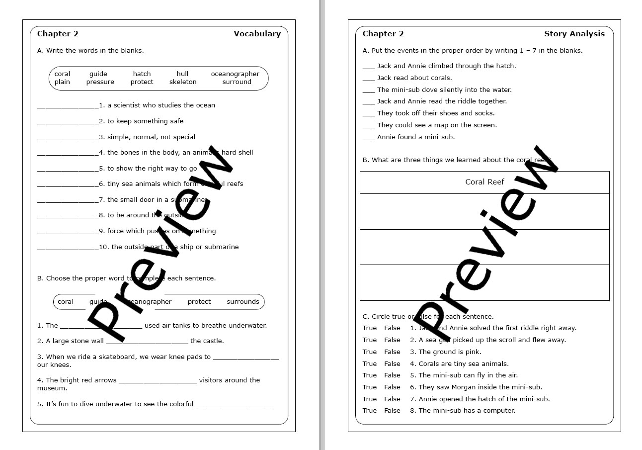 Magic Tree House "Dolphins at Daybreak" worksheets | Made By Teachers