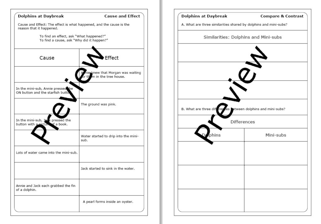 Magic Tree House "Dolphins at Daybreak" worksheets | Made By Teachers