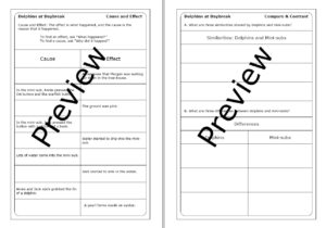 Magic Tree House "Dolphins at Daybreak" worksheets | Made By Teachers