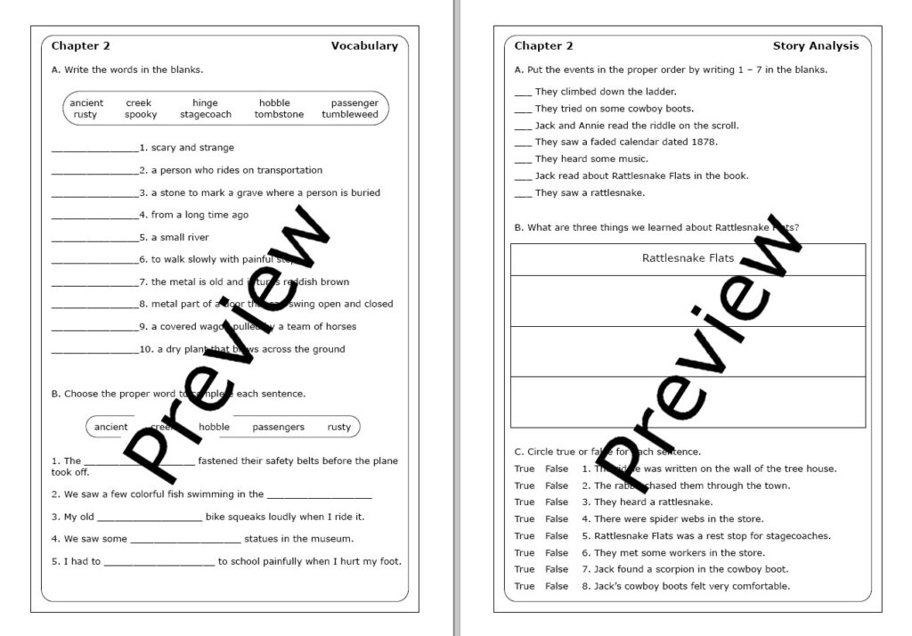 Magic Tree House "Ghost Town at Sundown" worksheets | Made By Teachers
