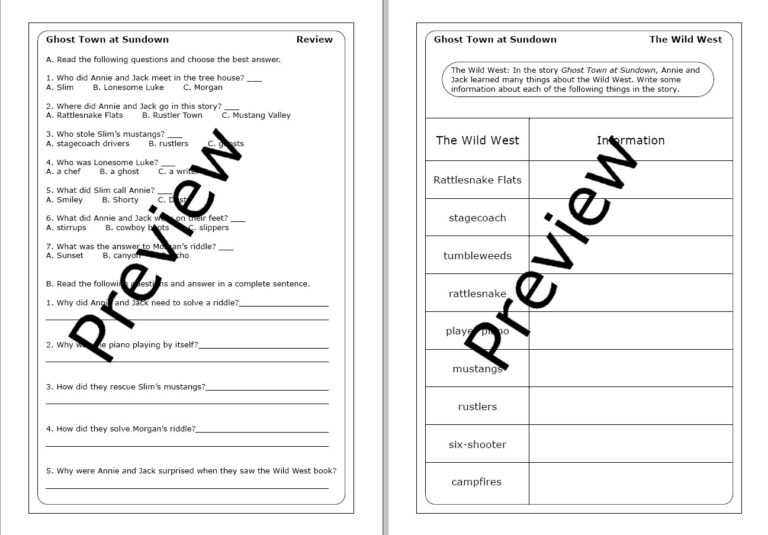 Magic Tree House "Ghost Town at Sundown" worksheets | Made By Teachers