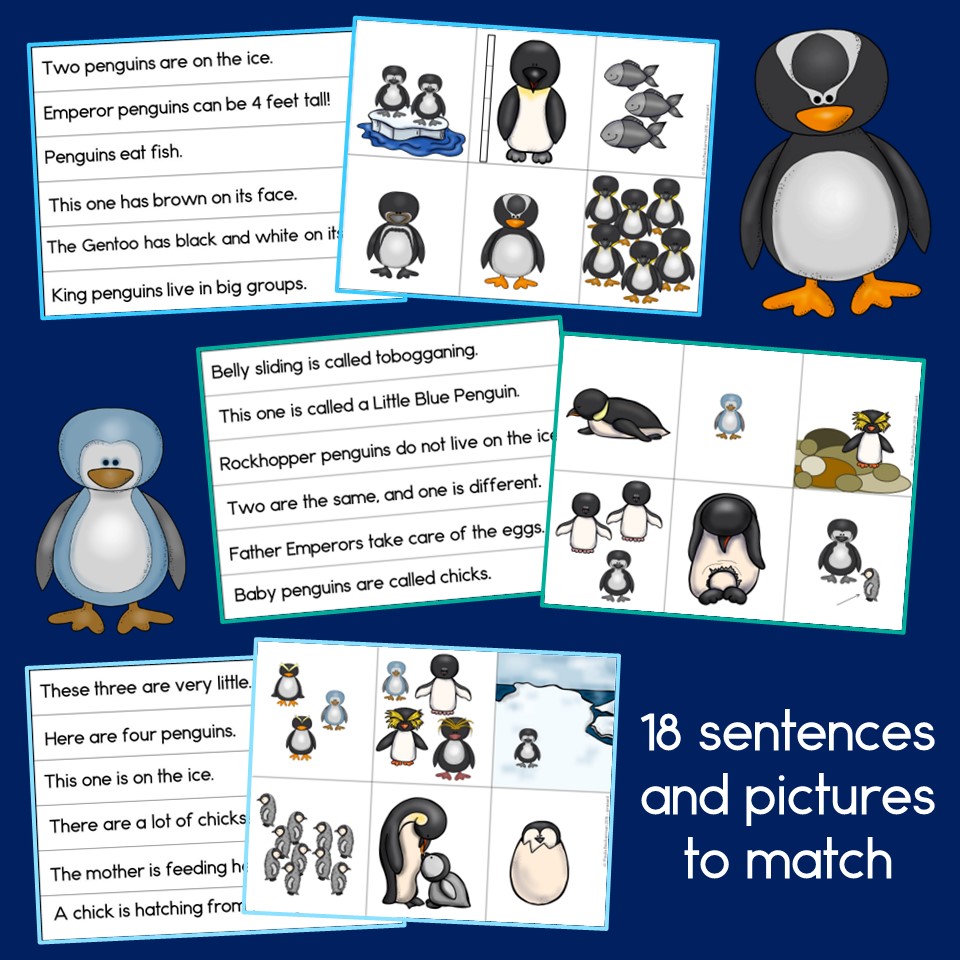 Penguin Sight Word Sentences Reading Comprehension Writing and Science ...