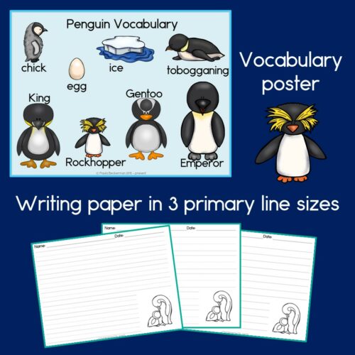 Penguin Sight Word Sentences Reading Comprehension Writing and Science ...
