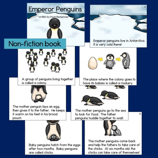 Penguin Life Cycle Craft, Guided Reading Book, Vocabulary and Bulletin ...