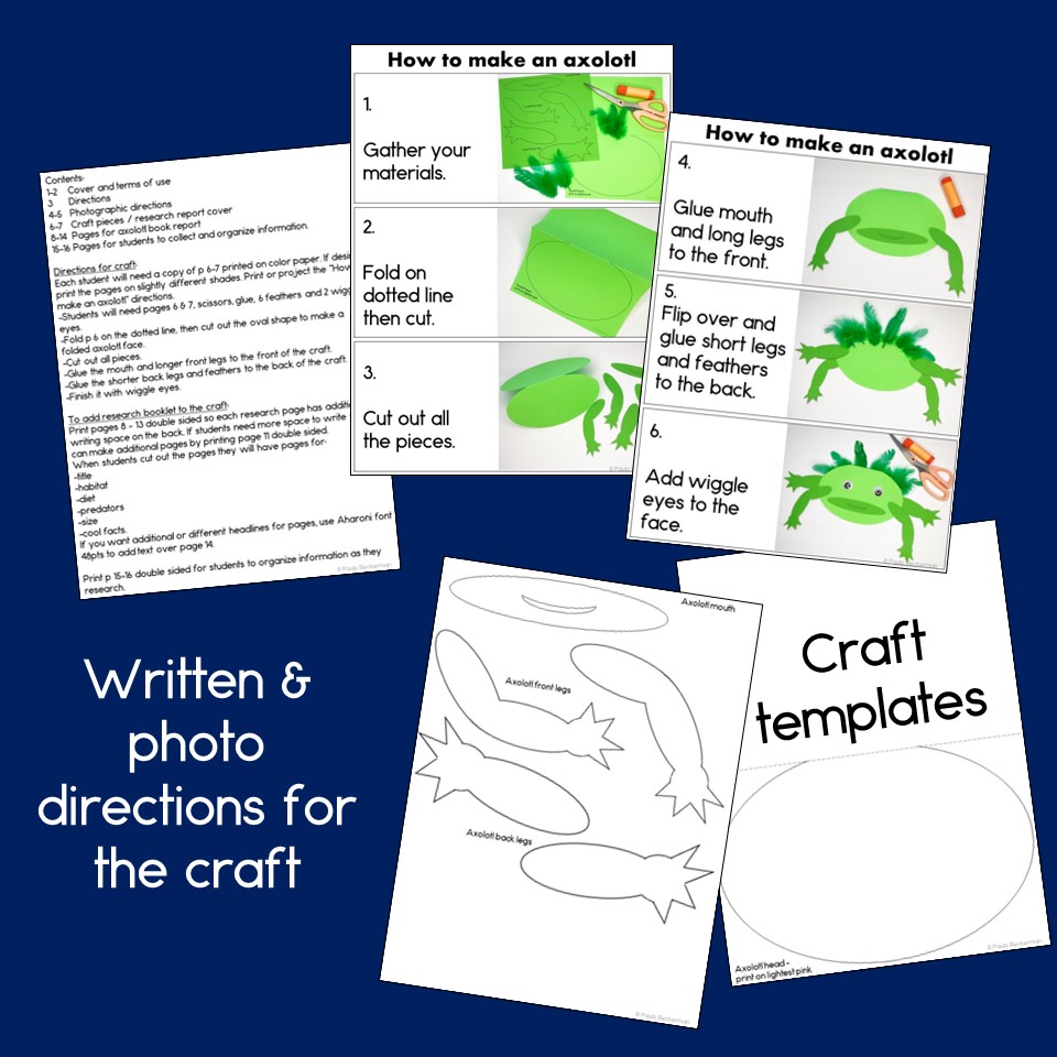 Axolotl Craft and Research Project | Made By Teachers