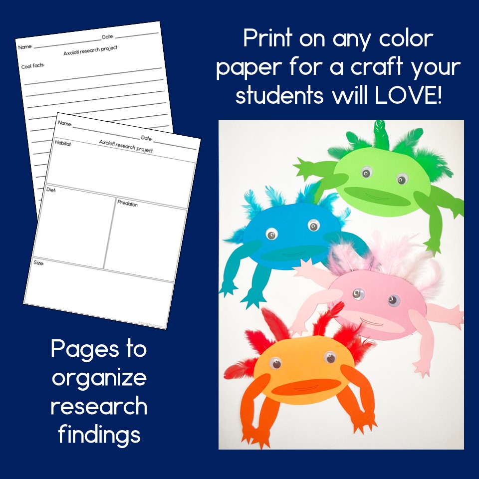 Axolotl Craft and Research Project | Made By Teachers
