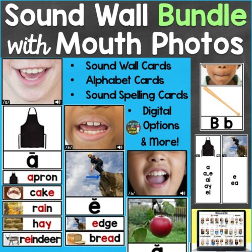 Sound Wall with Real Mouth Pictures & Photo Cards + Digital Science of ...