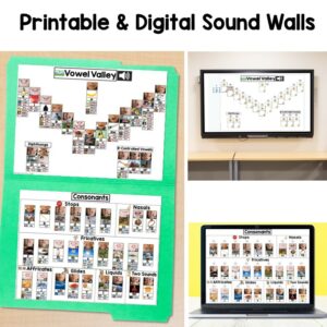 Sound Wall with Real Mouth Pictures & Photo Cards + Digital Science of ...