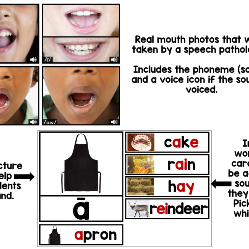 Sound Wall with Real Mouth Pictures & Photo Cards + Digital Science of ...