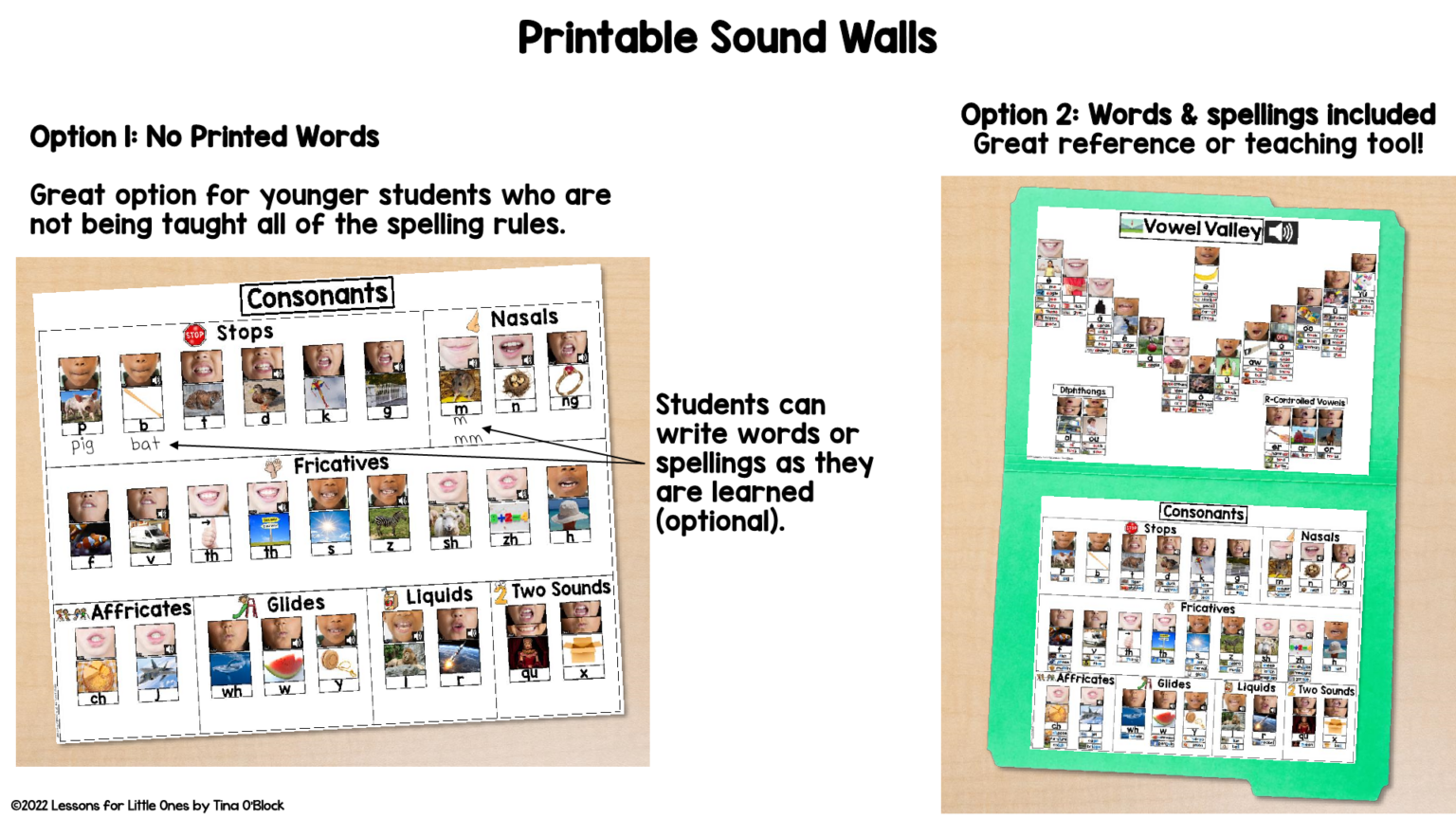 Sound Wall with Real Mouth Pictures & Photo Cards + Digital Science of ...