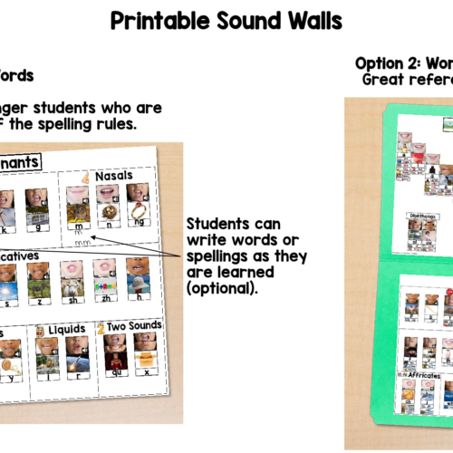 Sound Wall with Real Mouth Pictures & Photo Cards + Digital Science of ...