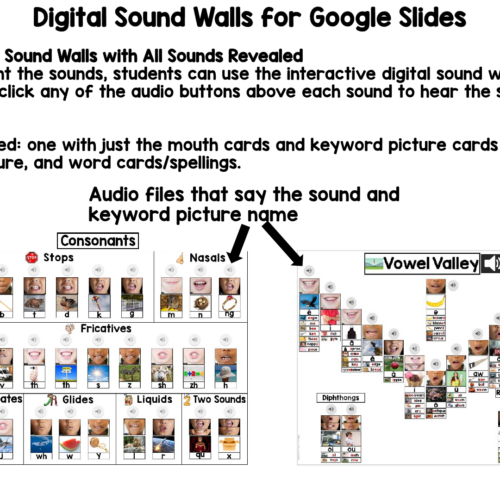 Sound Wall with Real Mouth Pictures & Photo Cards + Digital Science of ...
