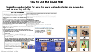 Sound Wall with Real Mouth Pictures & Photo Cards + Digital Science of ...