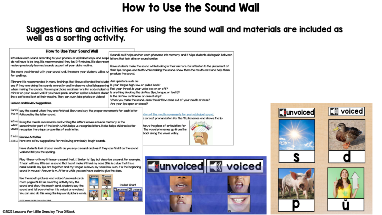 Sound Wall with Real Mouth Pictures & Photo Cards + Digital Science of ...