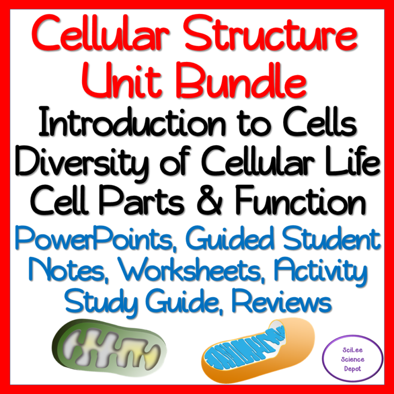 Cellular Structure and Function NO PREP Unit Bundle | Made By Teachers