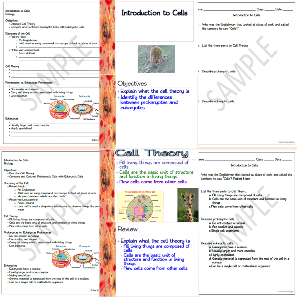 Cellular Structure and Function NO PREP Unit Bundle | Made By Teachers