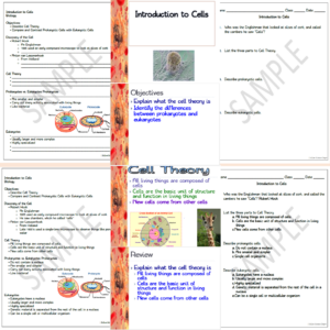 Cellular Structure and Function NO PREP Unit Bundle | Made By Teachers