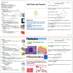 Cellular Structure and Function NO PREP Unit Bundle | Made By Teachers