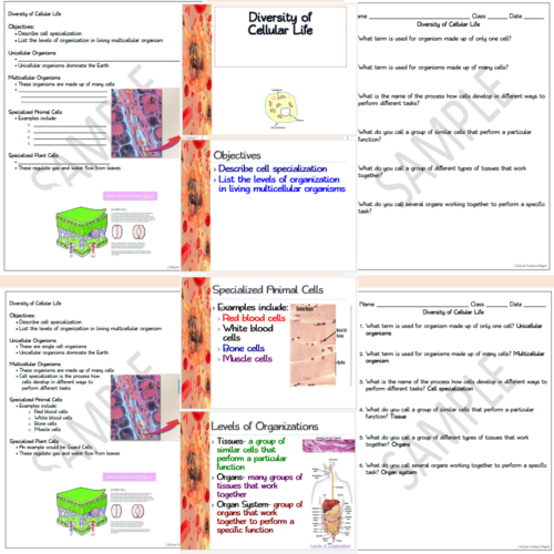 Cellular Structure and Function NO PREP Unit Bundle | Made By Teachers