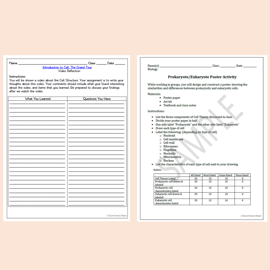 Cellular Structure and Function NO PREP Unit Bundle | Made By Teachers