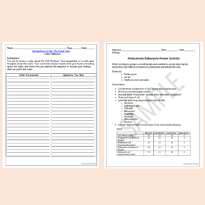 Cellular Structure and Function NO PREP Unit Bundle | Made By Teachers