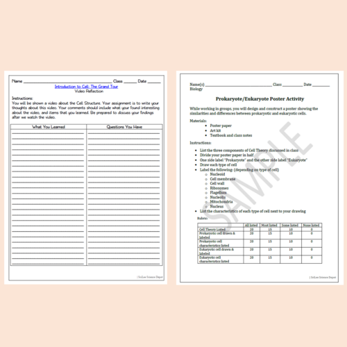 Cellular Structure and Function NO PREP Unit Bundle | Made By Teachers