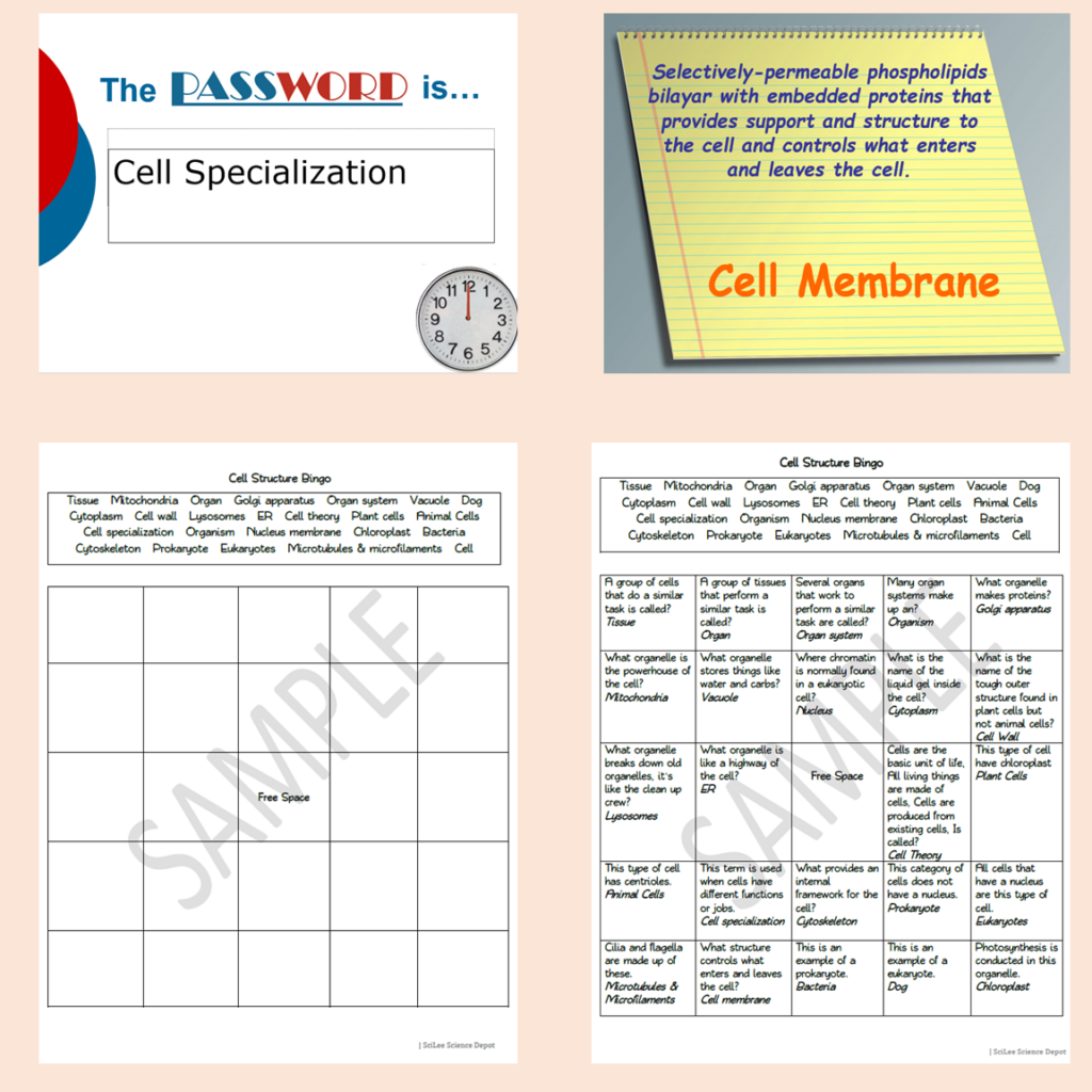 Cellular Structure and Function NO PREP Unit Bundle | Made By Teachers