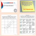 Cellular Structure and Function NO PREP Unit Bundle | Made By Teachers
