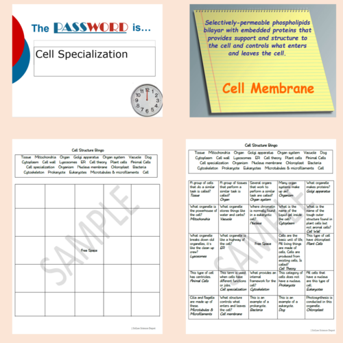 Cellular Structure and Function NO PREP Unit Bundle | Made By Teachers