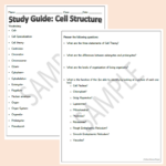 Cellular Structure and Function NO PREP Unit Bundle | Made By Teachers